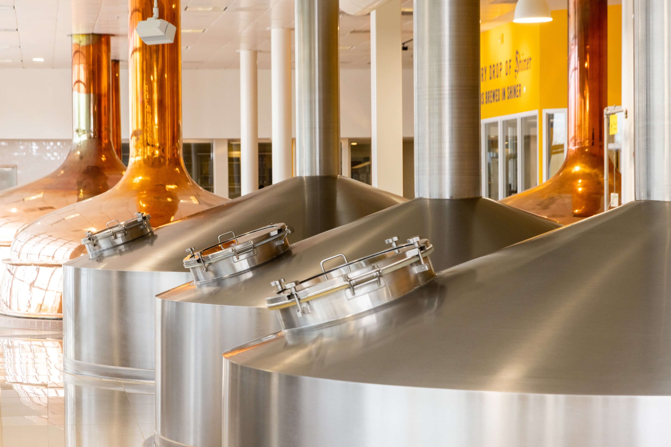 Ale, Hybrid and lager Brewing Equipment | Briggs