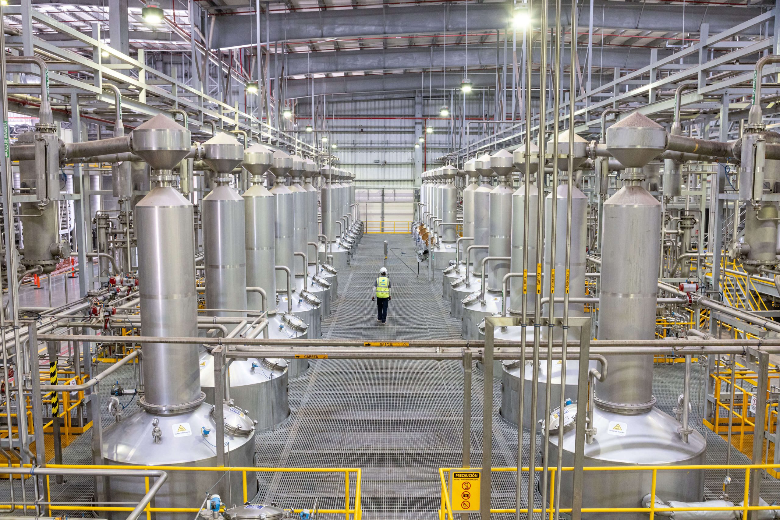 Agave Spirit Distillation | Briggs