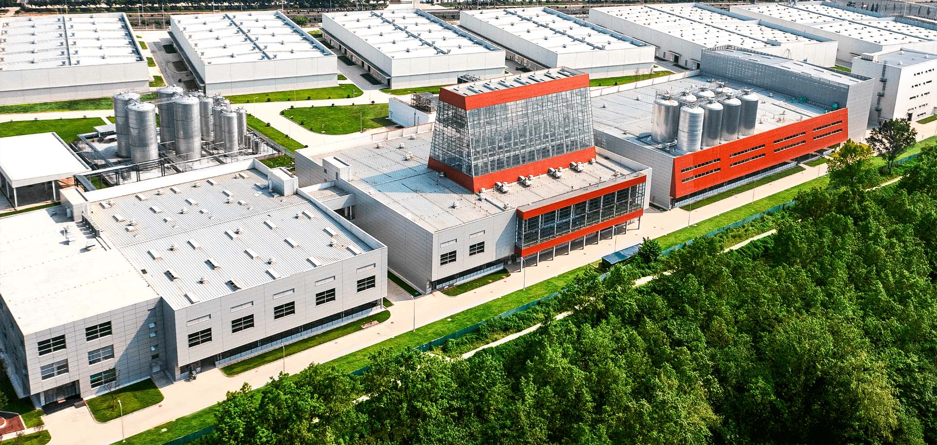 Laizhou Distillery - Briggs